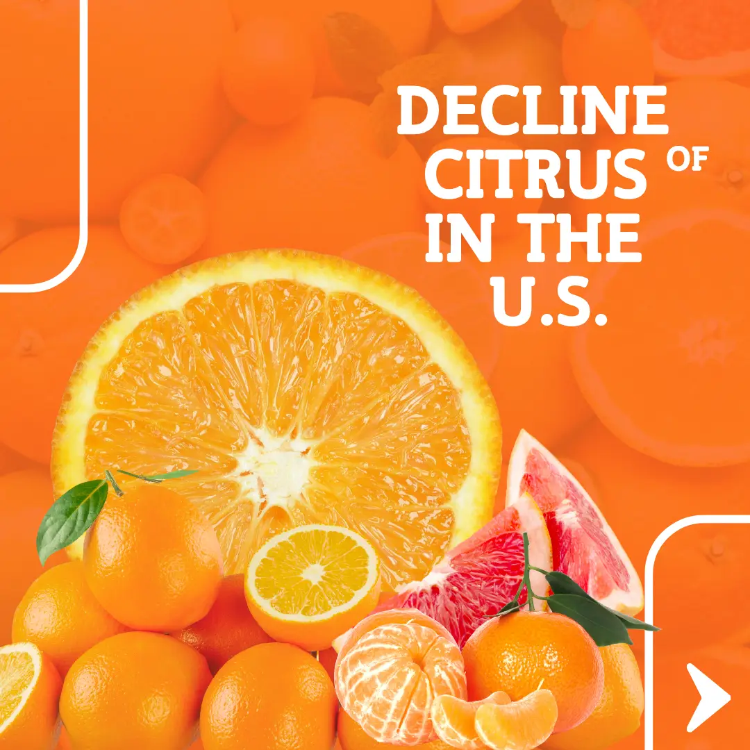 Citrus Decline in the U.S. - Pjcitrus